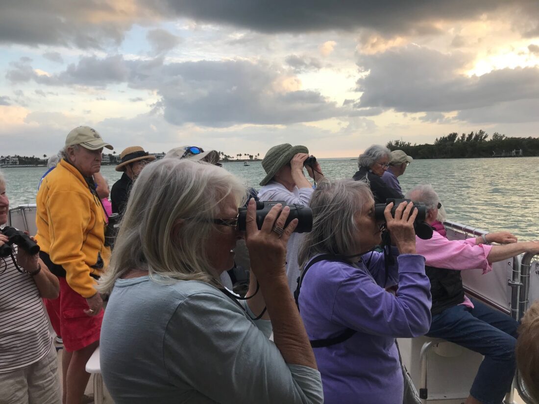 Sunset birding cruise planned - SANIBEL-CAPTIVA - Island Reporter ...